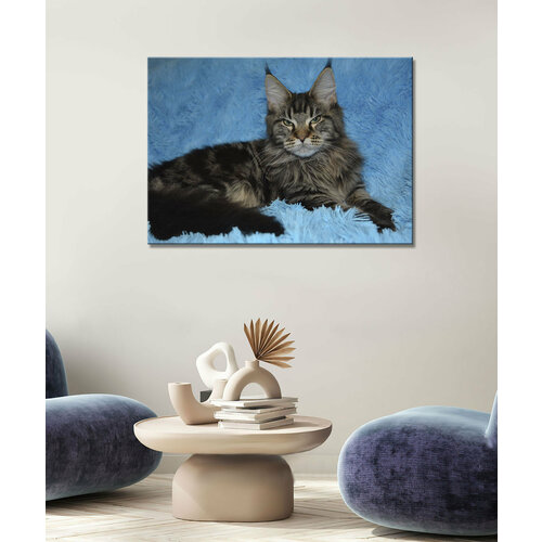 Картина - кошка, мейн-кун, домашняя кошка, ласковая кошка, кот (279) 40х60
