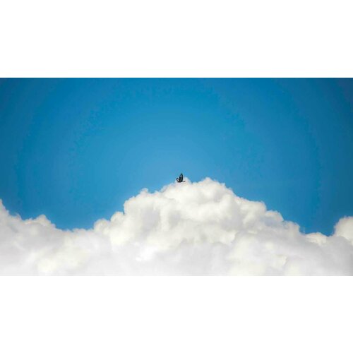 Картина на холсте 60x110 LinxOne "Природа Небо Полет Птица Облака" интерьерная для дома / на стену / на кухню / с подрамником