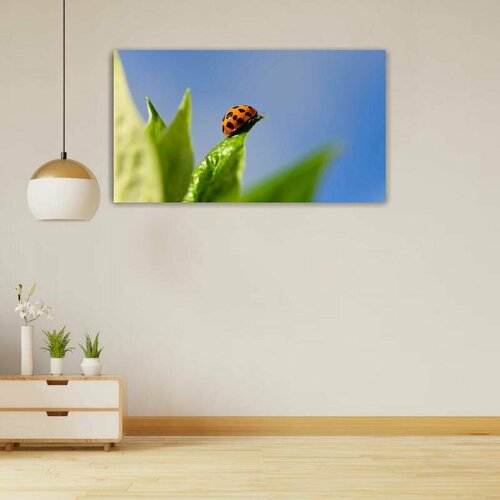 Картина на холсте 60x110 LinxOne "Божья коровка, жук, насекомое" интерьерная для дома / на стену / на кухню / с подрамником