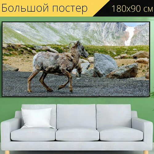 Большой постер "Гора, козел, животное" 180 x 90 см. для интерьера