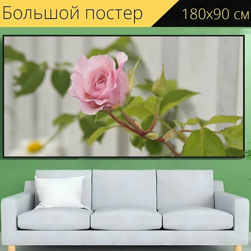 Большой постер "Роза, цветок, любовь блум" 180 x 90 см. для интерьера