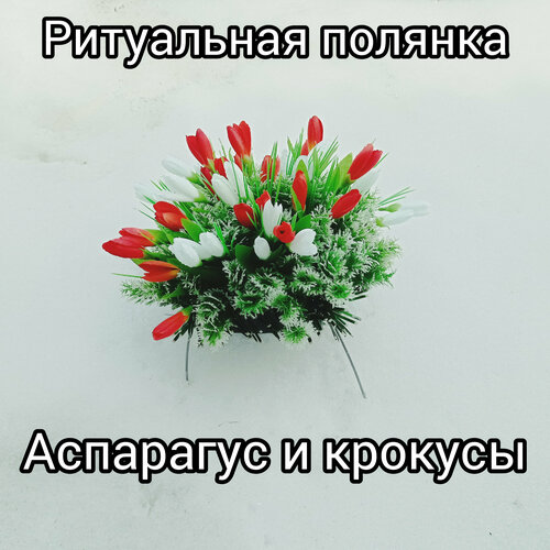 Ритуальные цветы Аспарагус + Крокусы
