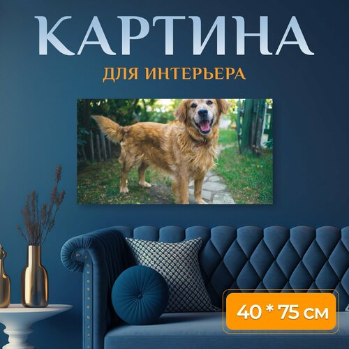 Картина на холсте "Собака, счастливый, игра" на подрамнике 75х40 см. для интерьера