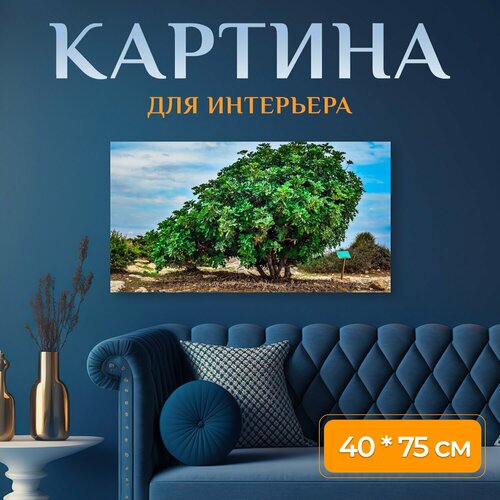 Картина на холсте "Рожковое дерево, дерево, листья" на подрамнике 75х40 см. для интерьера