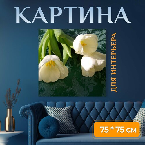 Картина на холсте "Тюльпан, белый цветок, срезанный цветок" на подрамнике 75х75 см. для интерьера