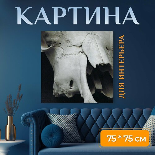 Картина на холсте "Чернить, белый, череп" на подрамнике 75х75 см. для интерьера