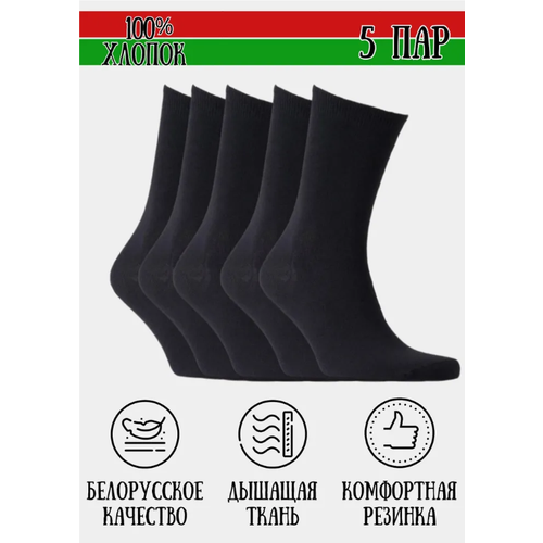 Носки Белорусский хлопок, 5 пар, размер 25 (37-40), черный