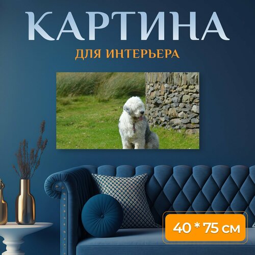 Картина на холсте "Собака, овчарка, бобтейл" на подрамнике 75х40 см. для интерьера