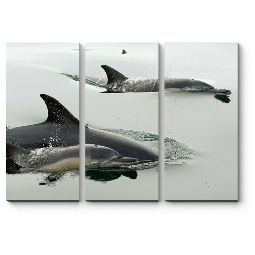Модульная картина Счастливая семья дельфинов100x72