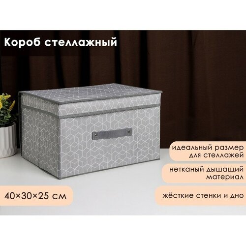 Короб стеллажный для хранения с крышкой Доляна "Фора", 40x30x25 см, цвет серый