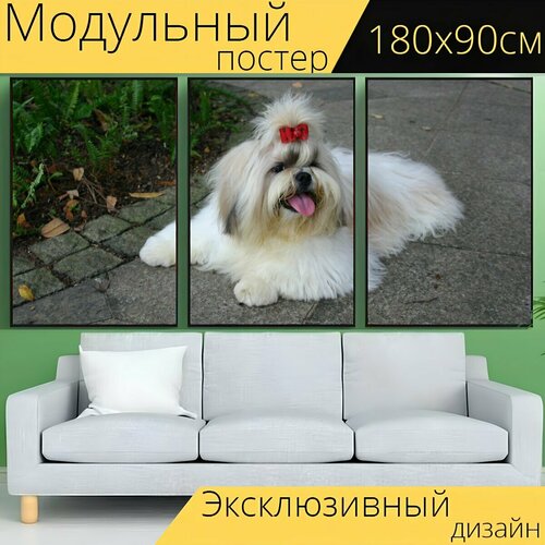 Модульный постер "Щенок, собака, домашний питомец" 180 x 90 см. для интерьера