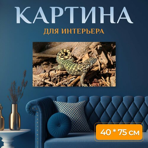 Картина на холсте "Ящерица, рептилия, экзотика" на подрамнике 75х40 см. для интерьера
