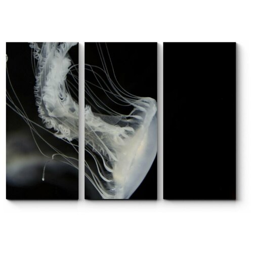 Модульная картина Белая медуза90x65