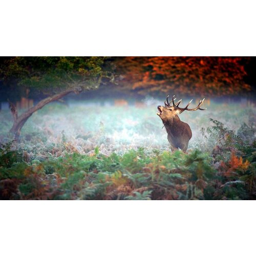 Картина на холсте 60x110 LinxOne "олень ЛЕС туман крик рога" интерьерная для дома / на стену / на кухню / с подрамником
