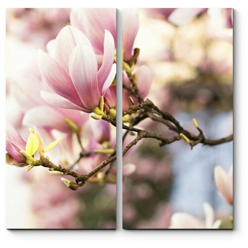 Модульная картина Весны прекрасное цветение 80x80