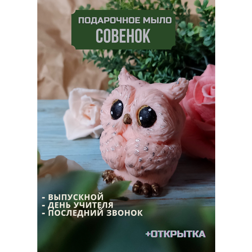Подарочное мыло ручной работы Сова/ Подарок школьнику на 1 cентября/ Последний звонок/ Выпускной