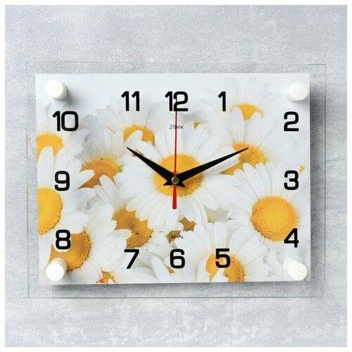 Часы настенные, серия: Цветы, "Ромашки", 20х26 см микс