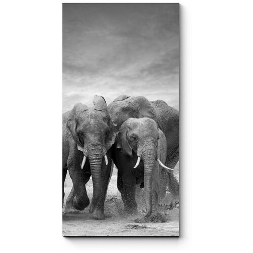 Модульная картина Слоны на озере 50x100
