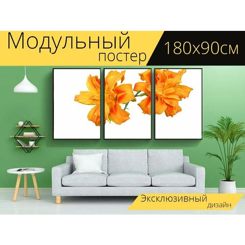 Модульный постер "Лилия, цветок, сад" 180 x 90 см. для интерьера