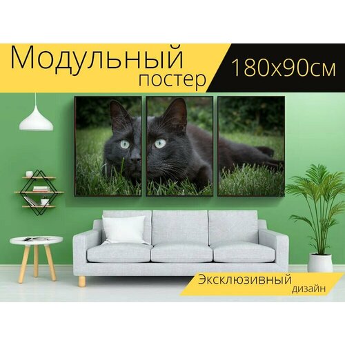 Модульный постер "Кот, животное, черный кот" 180 x 90 см. для интерьера