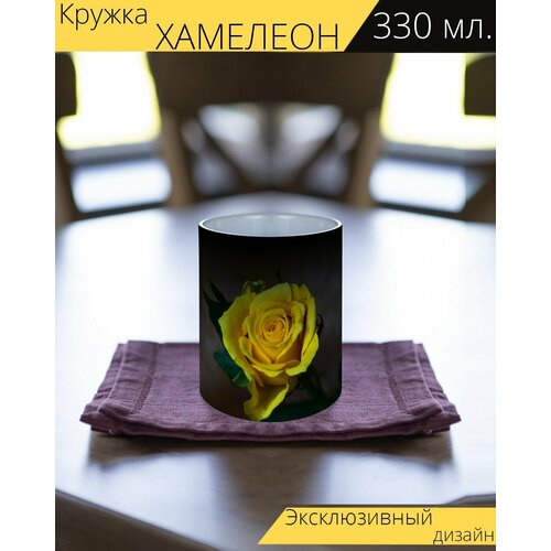 Кружка хамелеон с принтом "Роза, цветок, завод" 330 мл.