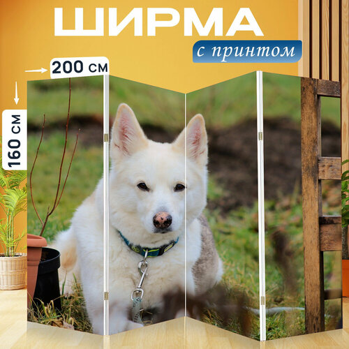 Ширма перегородка с принтом "Собака, портрет животных, хаски" на холсте - 200x160 см. для зонирования, раскладная