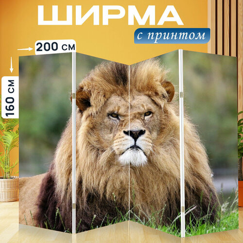 Ширма перегородка с принтом "Лев, король, животное" на холсте - 200x160 см. для зонирования, раскладная