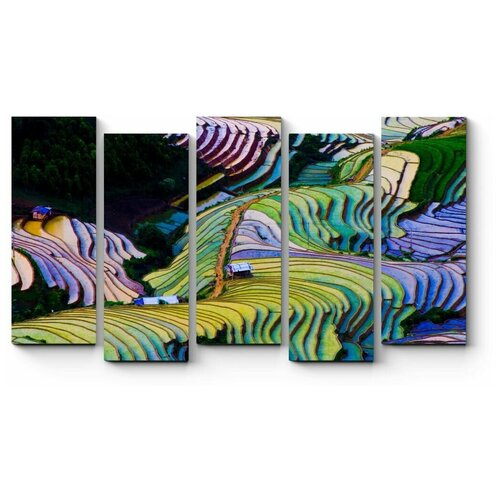 Модульная картина Рисовые поля, Вьетнам 120x69