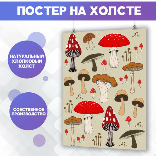 Постер виды грибов (1) 60х80 см