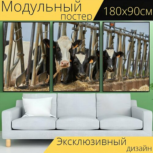 Модульный постер "Коровы, домашняя птица, домашний скот" 180 x 90 см. для интерьера