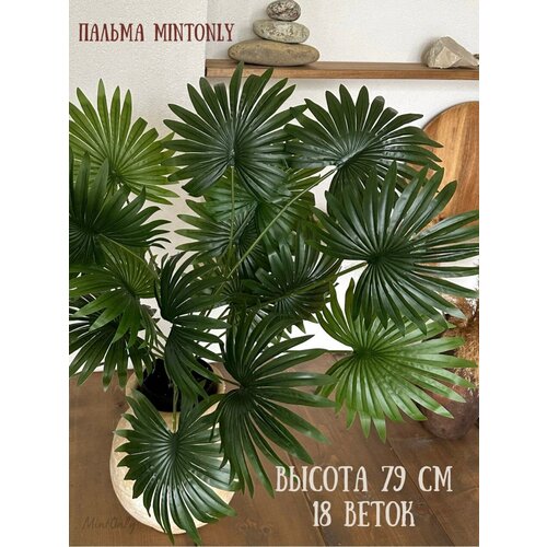 Искусственные растения MintOnly пальма искусственная Вашингтония для декора 79 см
