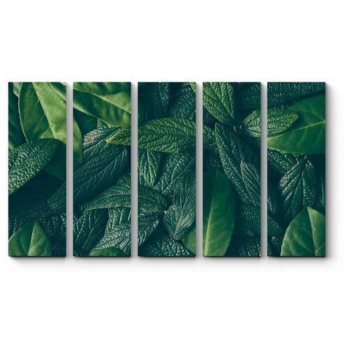 Модульная картина Зеленые сочные листья130x78