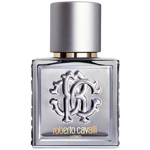 Roberto Cavalli туалетная вода Roberto Cavalli Uomo Silver Essence, 40 мл