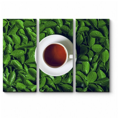 Модульная картина Зеленый чай 60x43