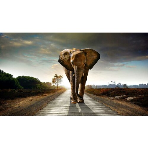 Картина на холсте 60x110 LinxOne "Слон дорога животное" интерьерная для дома / на стену / на кухню / с подрамником