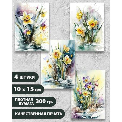 Набор открыток Весенние цветы Нарциссы, 10.5 см х 15 см, 4 шт, InspirationTime, на подарок и в коллекцию