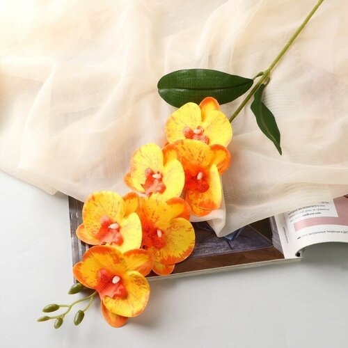 Poetry in flowers Цветы искусственные "Орхидея фаленопсис" премиум, 7х55 см, жёлтый