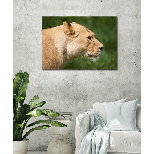 Картина - Лев, лев царь зверей, львица, львица в профиль, красивая львица (17) 50х70