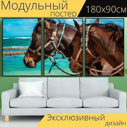Модульный постер "Лошадь, лошади, кобыла" 180 x 90 см. для интерьера