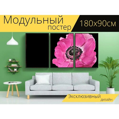 Модульный постер "Анемон, цветок, розовый" 180 x 90 см. для интерьера