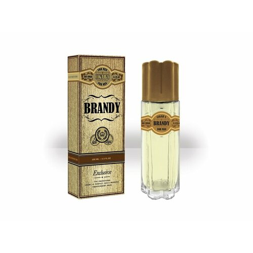 Delta Parfum men Cigar's - Brandy Туалетная вода 100 мл. Exclusive