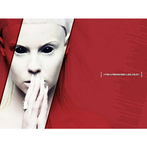 Плакат, постер на холсте Die Antwoord/I Think U Freeky/музыкальные/поп исполнитель/артист/поп-звезда/группа. Размер 30 х 42 см