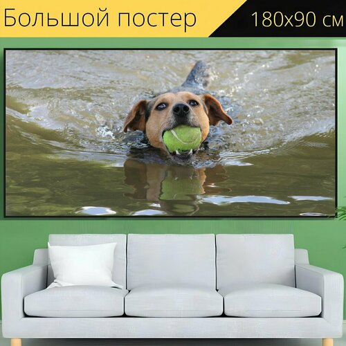 Большой постер "Собака, плавать, играть" 180 x 90 см. для интерьера