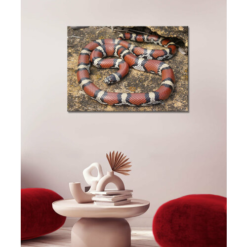 Картина - змея, королевская змея, красная змея, белые линии, змея на камне (36) 50х70
