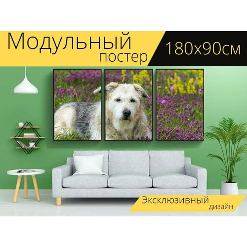 Модульный постер "Собака, домашнее животное, цветочный луг" 180 x 90 см. для интерьера