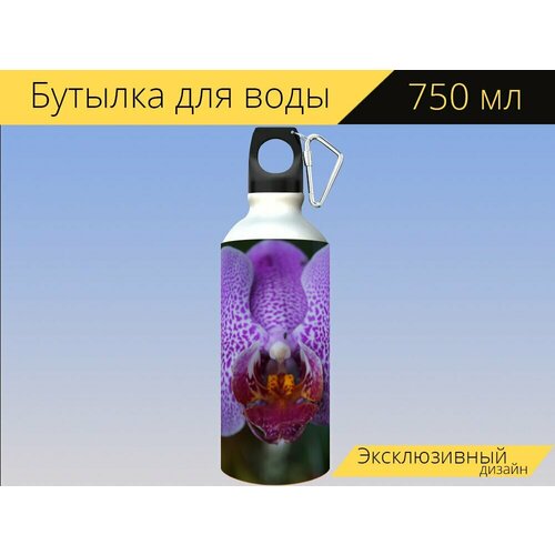 Бутылка фляга для воды "Орхидея, фиолетовый, цветок" 750 мл. с карабином и принтом