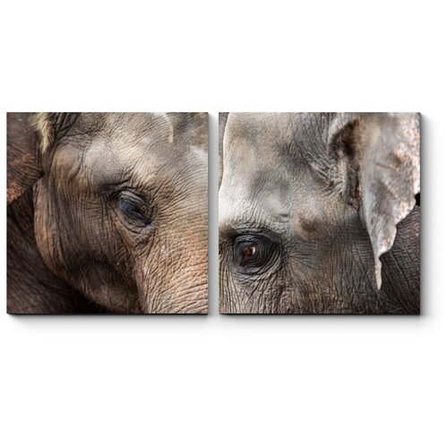 Модульная картина Любовь слонов 140x70