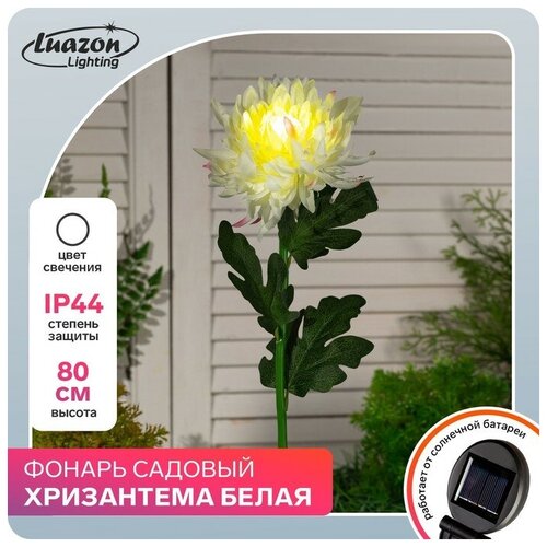 Luazon Lighting Садовый светильник на солнечной батарее «Хризантема белая», 75 см, 1 LED, свечение белое