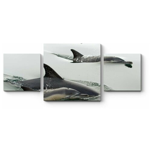 Модульная картина Счастливая семья дельфинов120x51