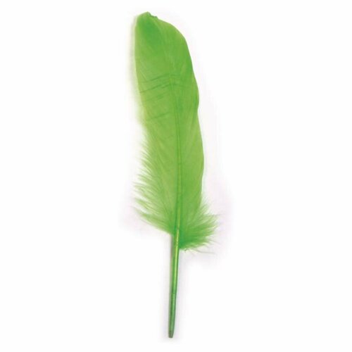 Украшение декоративное - Перья гусиные, цвет зеленый, 1 упаковка